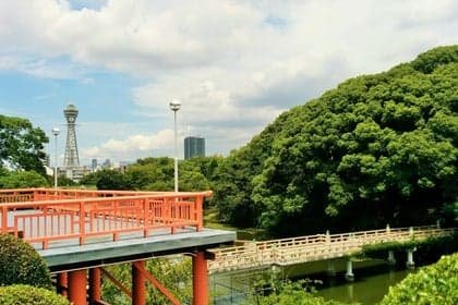 天王寺駅から 徒歩5分　天王寺公園の豊かな緑に囲まれたオンリーワン・スペース　／　大阪　寺