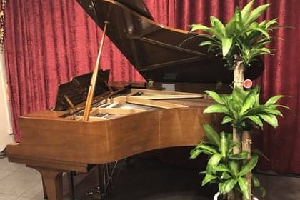 グランドピアノ･PA･照明･85型4Kモニター完備！100名程度のコンサート･イベント･会議･各種企画などに