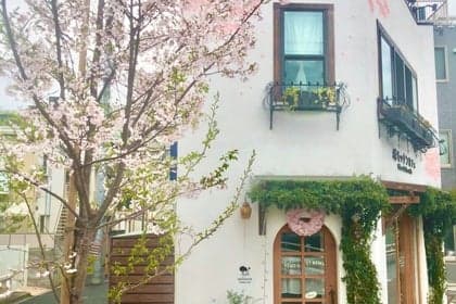 【桜キッチンカフェ】見晴らし良い屋上テラスの一軒家。外庭のPRイベント、撮影、55inchTVモニター有り