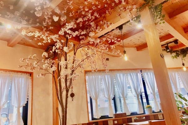 【桜キッチンカフェ】見晴らし良い屋上テラスの一軒家。外庭のPRイベント、撮影、55inchTVモニター有り 4枚目